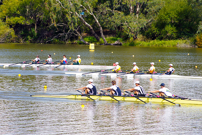Wilson-Haffenden, Oliver - Australian Rowing History