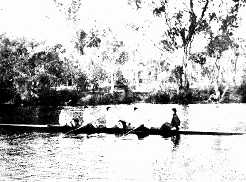 1902 PSA Head of the River, Australian Rowing History